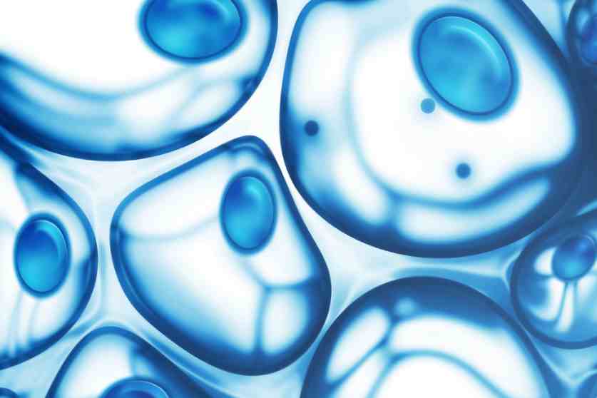 Biologists Shine With Outstanding Success in the British Biology ...